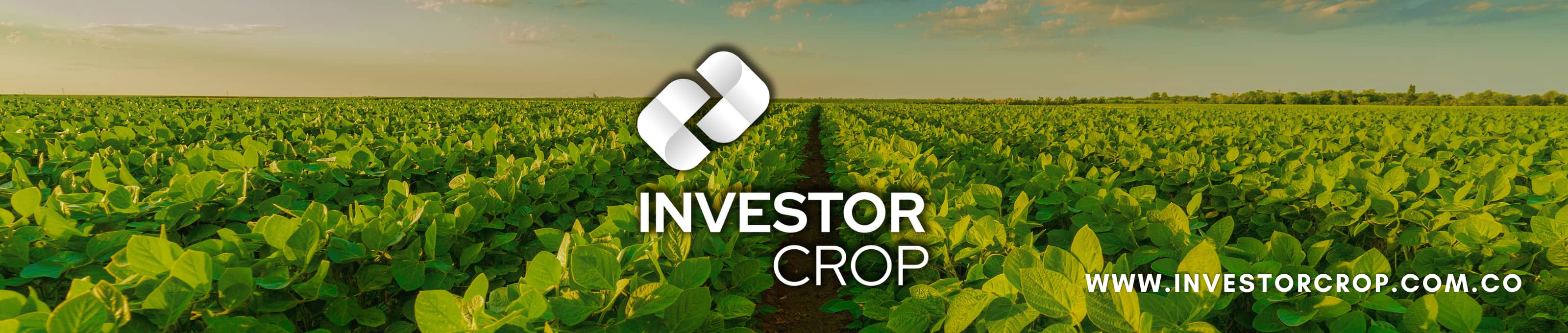 Investor Crop | Croper
