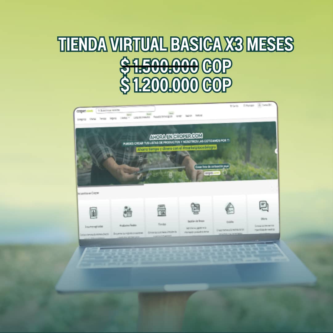 Tienda virtual Básica x 3 meses | Croper